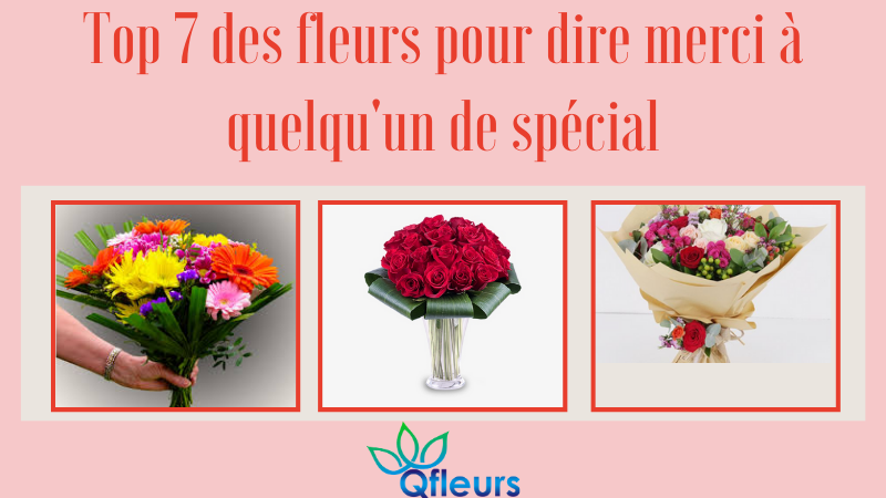 Top 7 des fleurs pour dire merci à quelqu'un de spécial - Qfleurs