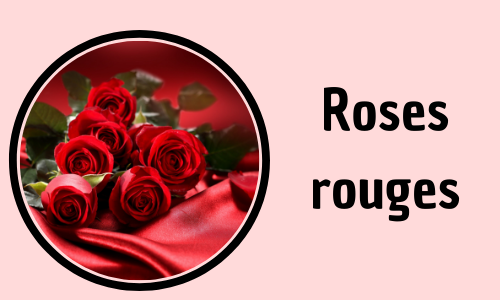 Essayez ces fleurs romantiques pour impressionner votre petite amie ...