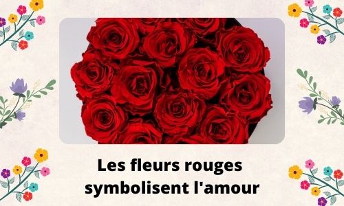 Quelle est l'importance des différentes couleurs de fleurs? - Qfleurs
